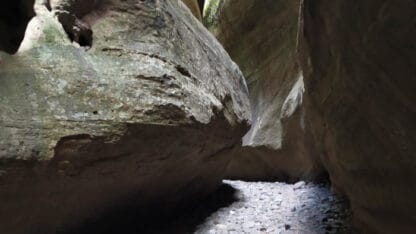 The best places to visit at Carnarvon Gorge?
